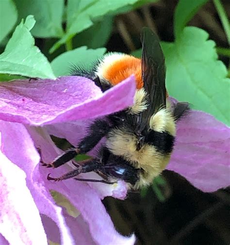 遺伝子的な なんじゃこりゃ人生
