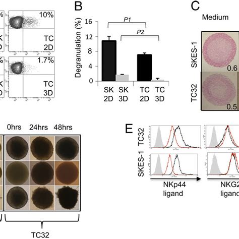 Increased Resistance Of Esft Mcts Structures To Nk Cells A