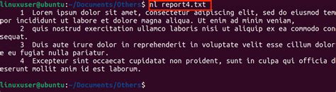 How To Open A Text File From A Terminal In Ubuntu 2204 Linuxways