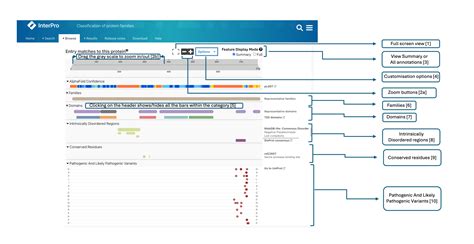 Protein Sequence Viewer — Interpro Documentation Protein Sequence Viewer — Interpro Documentation