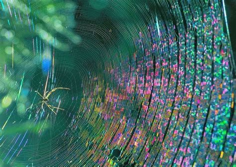 کمپین اطلاع رسانی و پیشگیری از سرطان پوستر رنگین کمان تغذیه نکته هایی