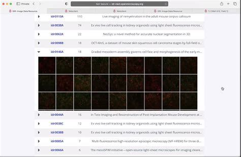 bug filter images by container name · issue 79 · ome omero search