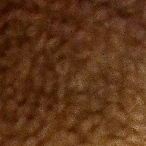 Toca Boca Daniela🌼💐 Youtube