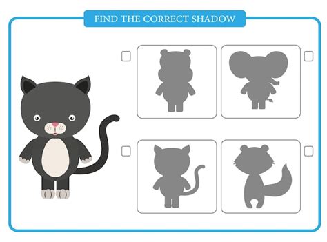 어린이를 위한 올바른 그림자 교육 활동 워크시트 찾기 프리미엄 벡터