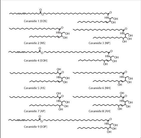 Ceramide Structure