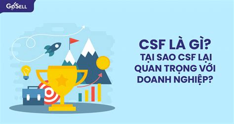 Csf Là Gì Tại Sao Csf Lại Quan Trọng Với Doanh Nghiệp Goacademy HỌc ViỆn ĐÀo TẠo KỸ NĂng