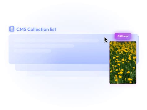 Cms Image On Hover Premium Ui Component By Framer Master — Framer