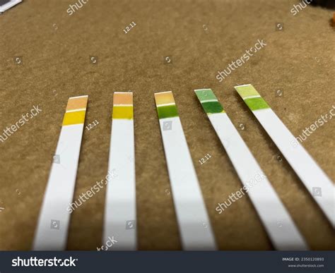 Universal Indicator Over 470 Royalty Free Licensable Stock Photos Shutterstock
