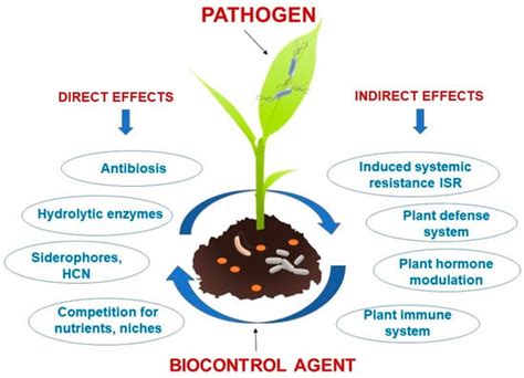 Bacterial Bioprotectants Biocontrol Traits And Induced Resistance To