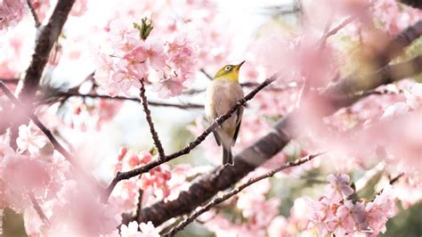 Zettelkasten How To Take Smart Notes A Comprehensive Guide