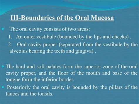 Oral Mucosa Seminar Definition And Characteristics Ppt