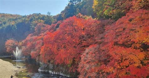 태백 철암단풍축제 3만여명 방문 단풍 절정
