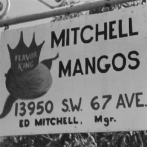 Our Story Haystack Data Solutions