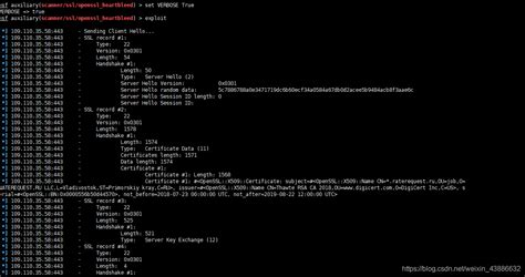 心脏滴血漏洞详解及利用 Heartbleed With Opensslopenssl漏洞 Msf利用 Csdn博客