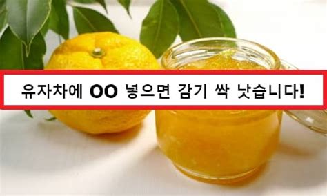 유자차 9가지 효능 칼로리 유자청 만들기 꿀레시피 Gladfit 유자차 9가지 효능 칼로리 유자청 만들기 꿀레시피 Gladfit