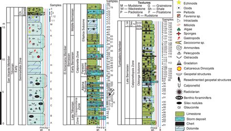 Stratigraphic Column Displaying A Detailed Microfacies Distribution And Download Scientific