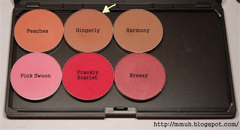 Mac Blush Gingerly Dupe At Nate Hocking Blog