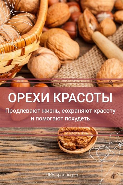 Орехи красоты Продлевают жизнь сохраняют красоту помогают похудеть