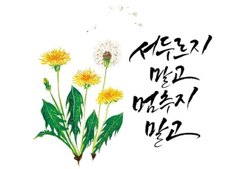 서두르지 말고 멈추지 말고