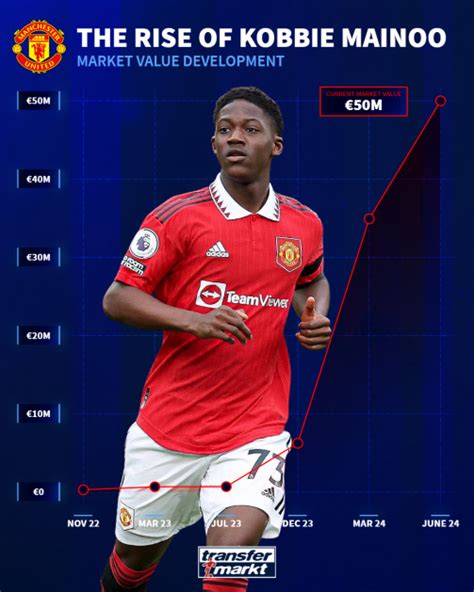 میزان رشد قیمت کوبی مینو طرفداری