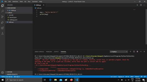 Issue Running Python File In Terminal Vscode
