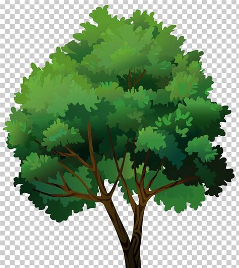 Tree White Transparent Rendering Apple PNG Clipart Apple Tree Branch Cartoon Clip Art