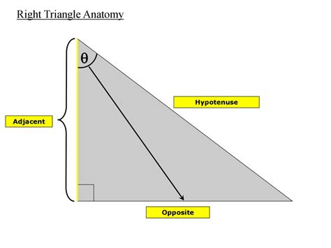 The Trigonometric Functions And Right Triangles Ppt Download