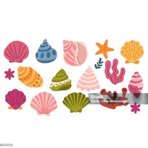 조개껍데기와 산호의 집합입니다 흰색 배경에 벡터 그림입니다 조개 껍데기에 대한 스톡 벡터 아트 및 기타 이미지 조개 껍데기