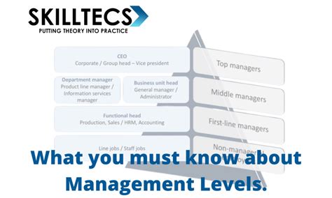 What You Must Know About Management Levels Skilltecs