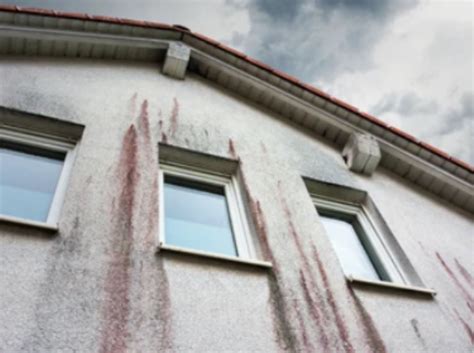 How To Remove Red Algae On Render Right Wash