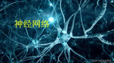 机器学习十大算法之一 神经网络 阿里云开发者社区
