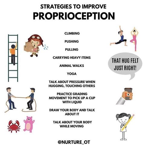 Proprioceptive Input Sensory Processing Explained Artofit