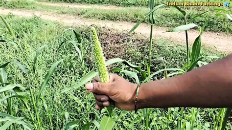 Indian Village Farming Couple Having Sex Bbw Porn Xhamster