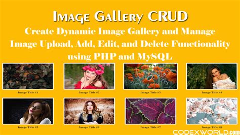 Image Gallery Crud With Php And Mysql Codexworld