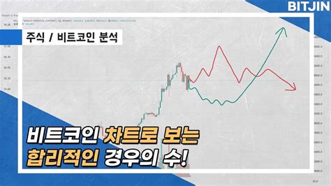 비트코인 차트로 보는 합리적인 경우의 수┃비트코인┃주식┃코스피┃코스닥┃선물마진거래┃바이비트업비트┃가상화폐┃ Youtube
