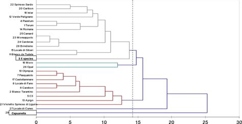 Upgma Dendrogram Based On 10 Ssr Loci Analysed For The 28 Accessions Of