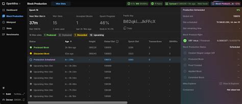 Retro Mina Web Node Testing Mina Protocol