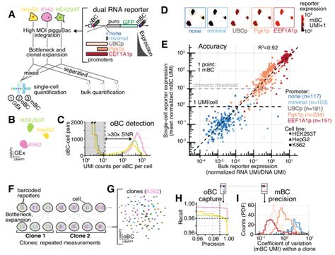 Benchmarking Scqers For Accuracy Precision And Capture In Human Cell Download Scientific