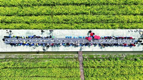 Xu Th Du L Ch C A Ng I Tr Trung Qu C Hi N Nay Gen Z X T M V N Ng Th N Th Ch L M M T