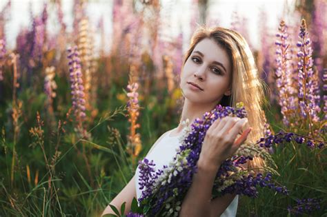 일몰에 흰색 가벼운 드레스에 Lupines와 필드에서 아름다운 행복한 소녀 감정에 대한 스톡 사진 및 기타 이미지 감정 계절 꽃 식물 Istock