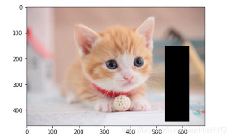 opencv python 实现图像缩放翻转旋转 python 图片放大后旋转 csdn博客