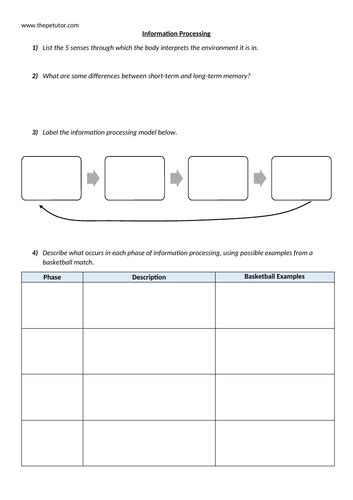 Aqa Gcse Pe Information Processing Teaching Resources