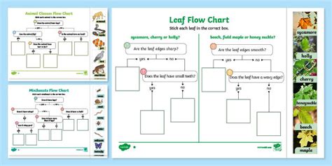 Classifying Organisms Chart