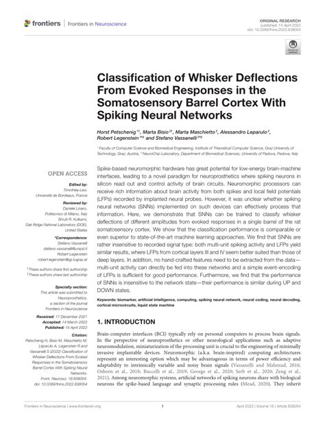 Pdf Classification Of Whisker Deflections From Evoked Responses In The Somatosensory Barrel