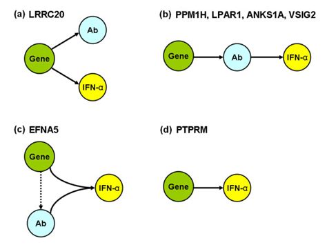 Diagrams Of The Patterns Of Association Observed Between Snp Genotype Download Scientific