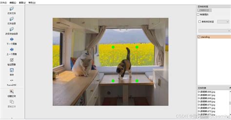 【毕业设计】 基于深度学习的猫咪行为检测 算法猫咪行为学算法 Csdn博客