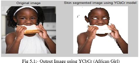Figure From Skin Segmentation Using YCBCR And RGB Color Models Semantic Scholar