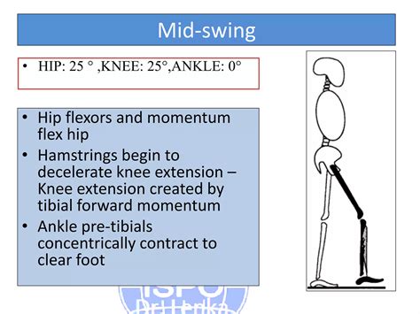 Kinetics And Kinematics Paramters In Gait Pdf Physical Therapy