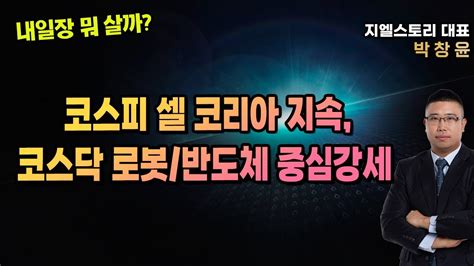 내일장 뭐 살까 코스피 셀 코리아 지속 코스닥 로봇반도체 중심 강세 박창윤 대표 주식 주가 투자 Youtube