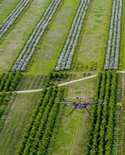 Agricultural Drones Have Proven To Be More Efficient Than Traditional Spray And Seed Methods